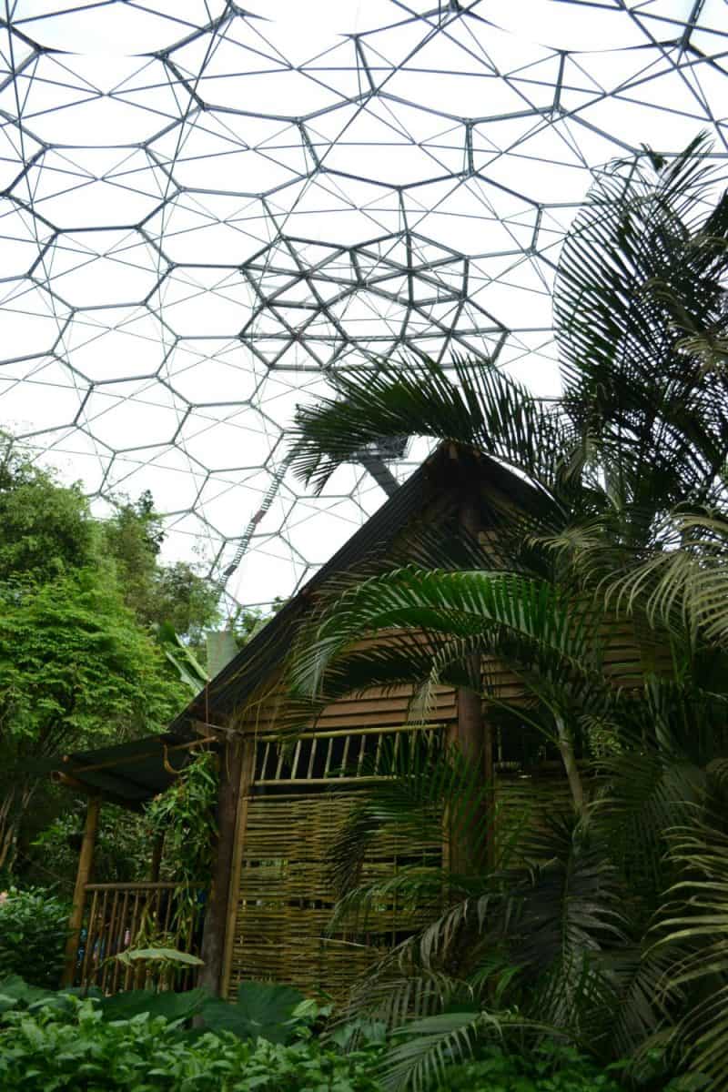 The Eden Project: a family day out in Cornwall - Tin Box Traveller
