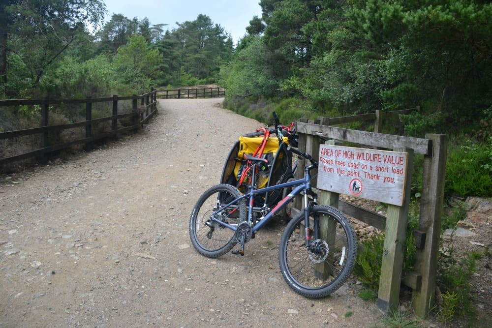 Devon family cycle routes: Tamar Trails with kids - Tin Box Traveller