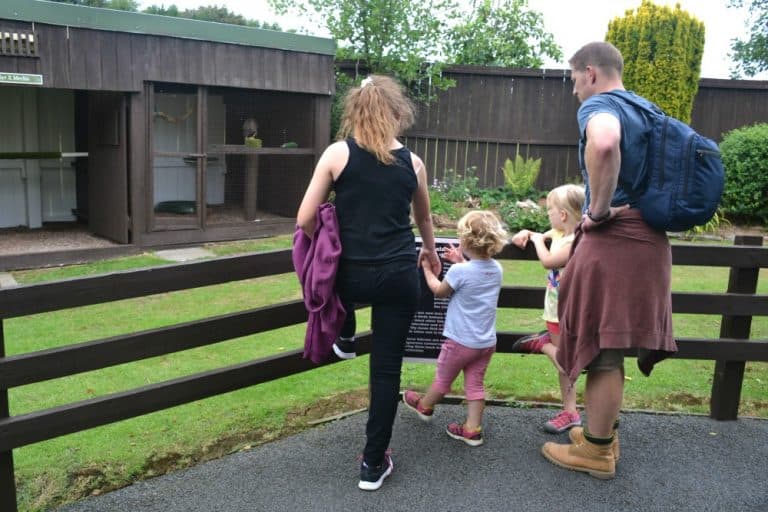 The Milky Way Adventure Park - a Devon theme park review - Tin Box ...