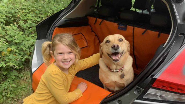 Hatchbag boot liner review: car boot protectors for messy families ...