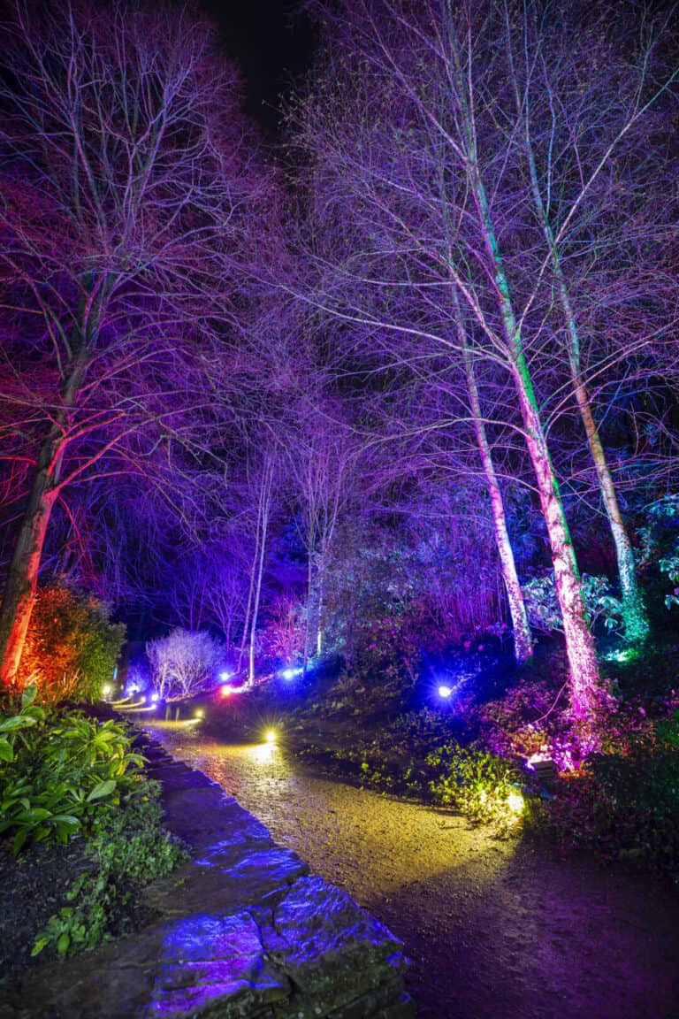 60+ UK Christmas light trails happening in 2025 - Tin Box Traveller